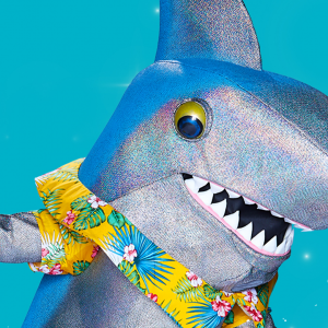 Ontmaskerd: Ware identiteit van de Haai ontdekt - Showbizznetwork.nl